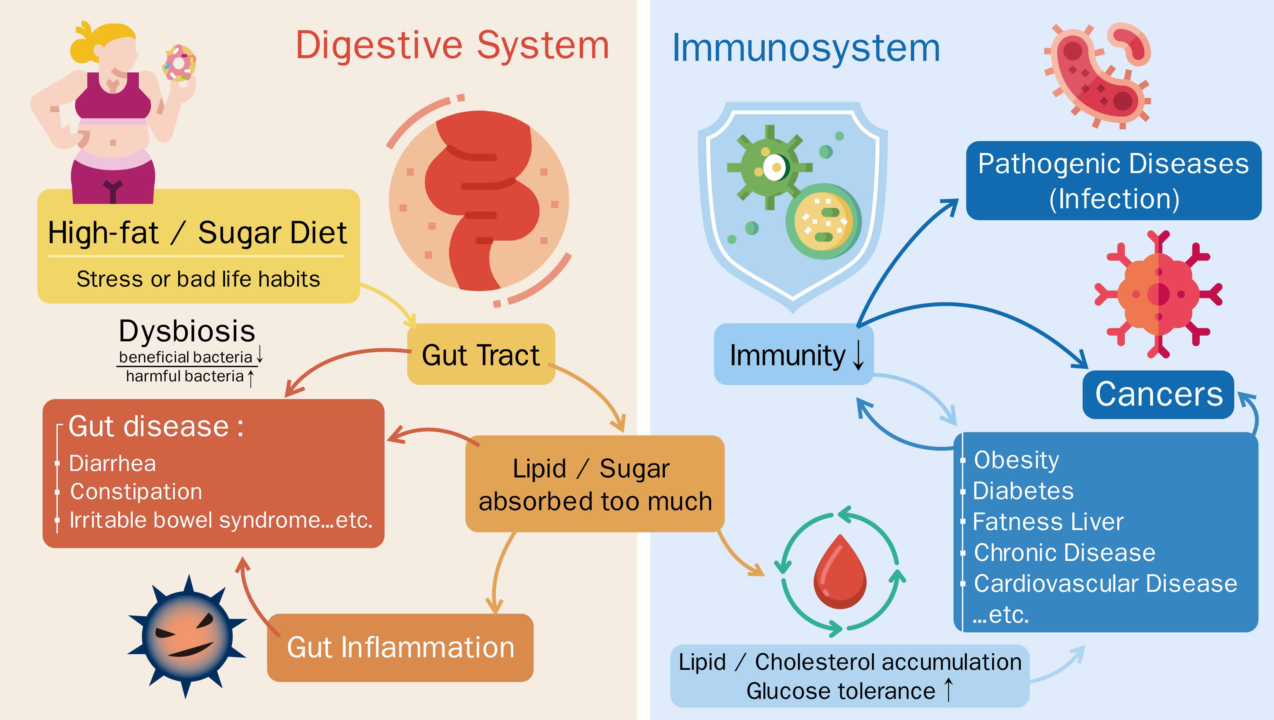 Beta-Glucan capsule - CEI Medical